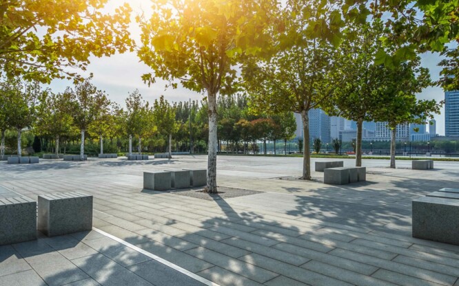 Ecological Sustainability